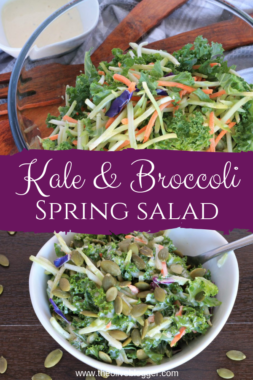 Easy Kale and Broccoli Salad - The Olive Blogger