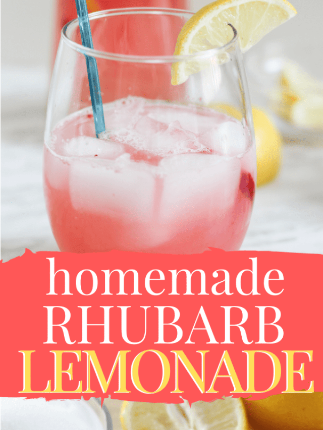 Incredible Rhubarb Lemonade Recipe - PERFECT Drink for Summer - The ...